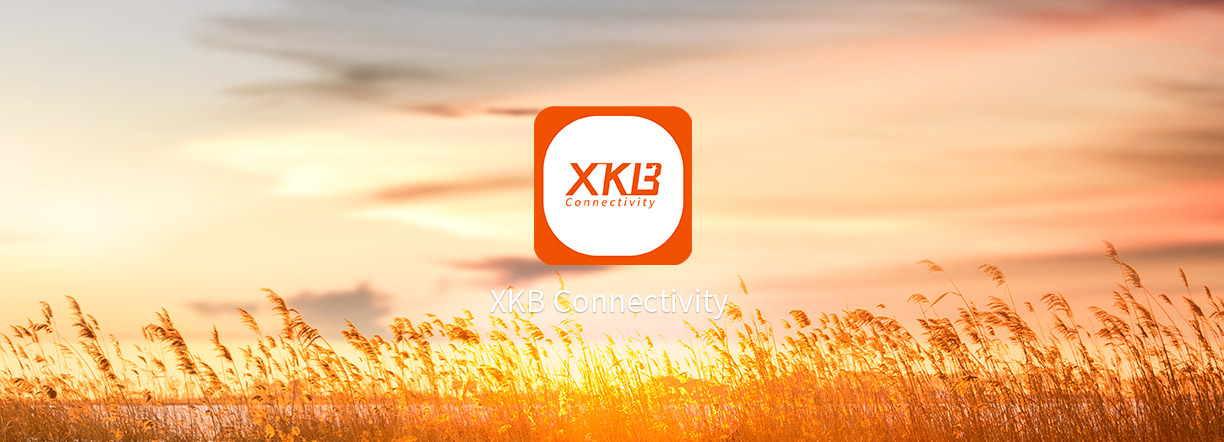 XKB Connectivity - Connectors, Interconnects - Utmel